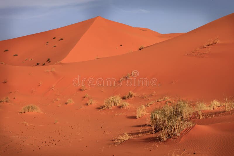 Reddish Sand And Rock Landscapes In The Desert Of Wadi Rum, Southern ...