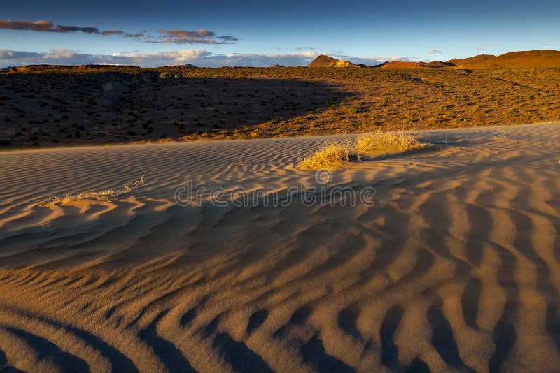 Sand dune in Nevada desert stock image. Image of afternoon - 82014273