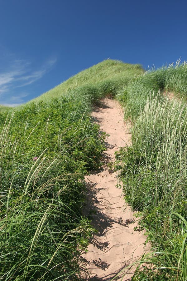 Sand Dune Path stock photo. Image of canada, skies, shadow - 4366236