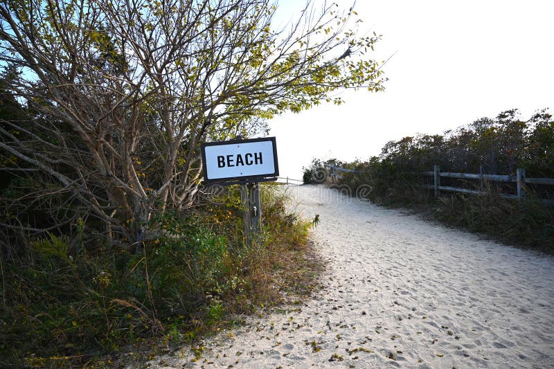 Sand Dune Path stock image. Image of dunes, atlantic - 202076063