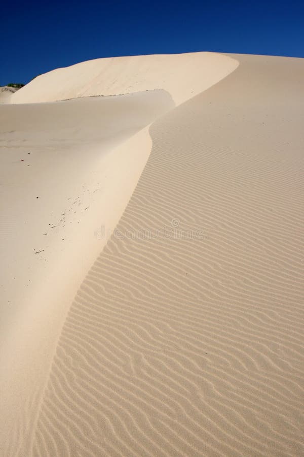 Sand Dune Pattern stock image. Image of outdoor, lone - 18051589