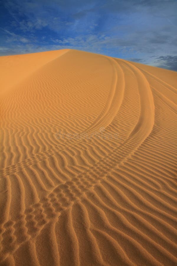 Sand Dune Pattern stock image. Image of beach, evening - 21550663