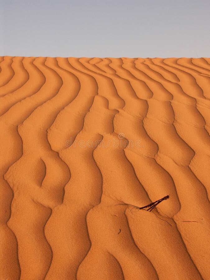 Sand dune pattern stock image. Image of rippled, outdoor - 85513457