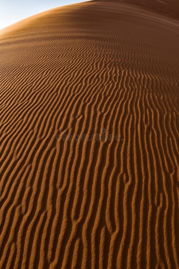 Sand dune patterns stock photo. Image of curve, curves - 63394972