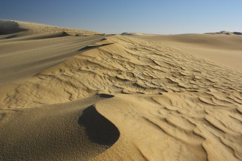 Sand dune ripples stock photo. Image of geological, dunes - 21135836