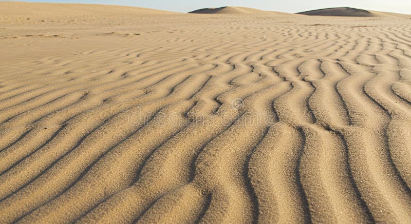 Sand Dune Ripples Create a Mesmerizing Pattern in the Desert Landscape ...