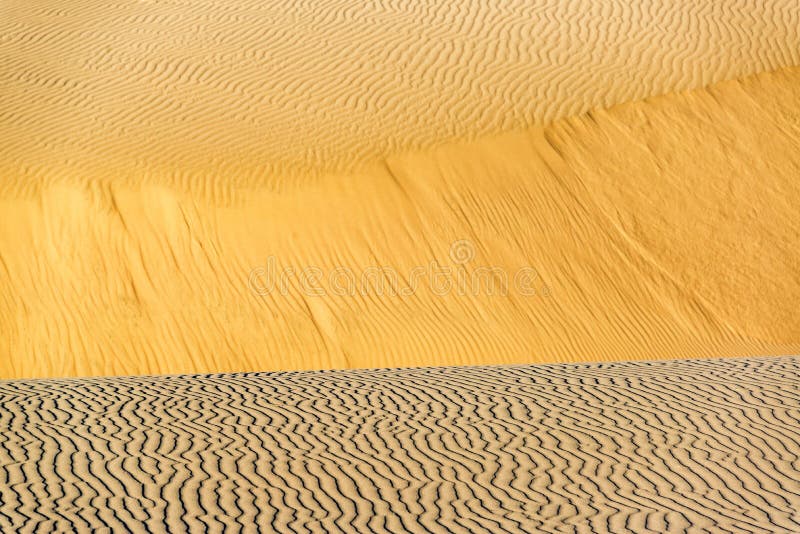 Sand Dune Ripples stock photo. Image of tourism, oasis - 46981362