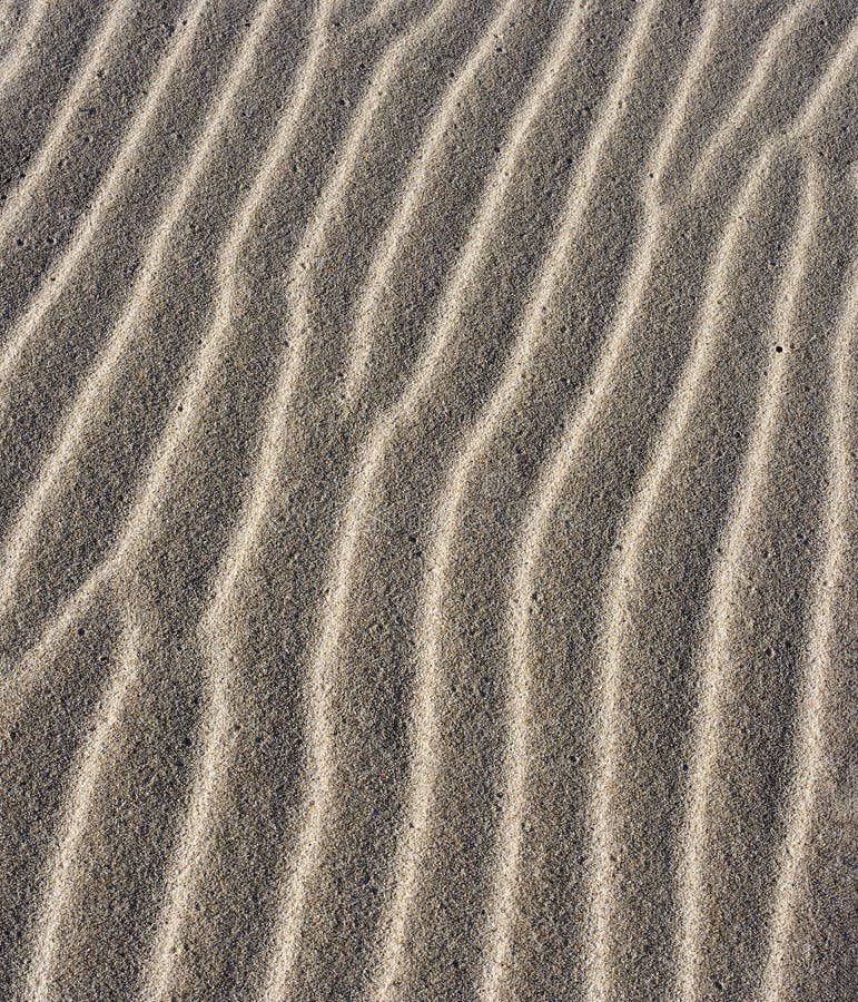 Sand dune ripples stock photo. Image of climate, geology - 245987442