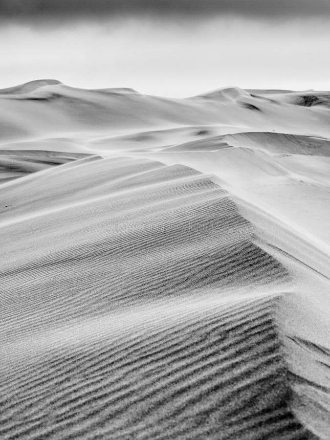 Sand stock photo. Image of namibia, cold, nature, white - 78777464
