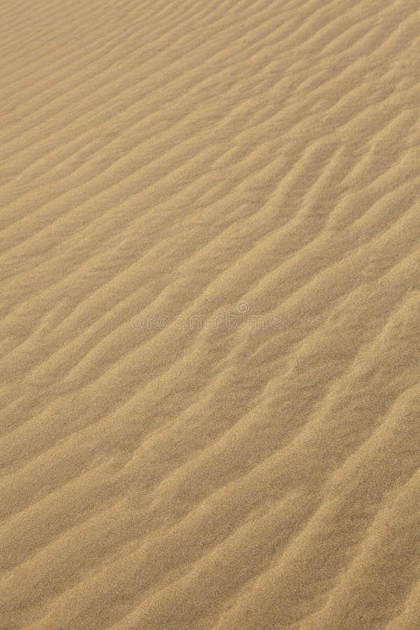 Sand Dune Texture. stock image. Image of closeup, dune - 26284539