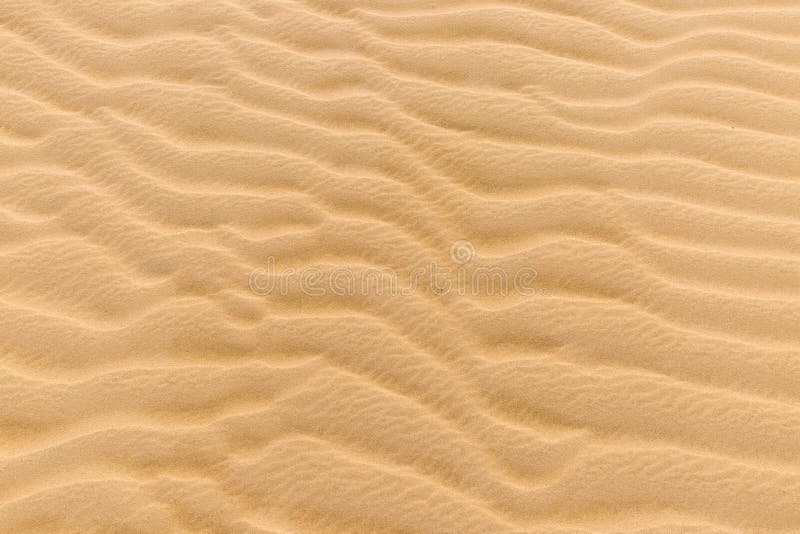 Sand dune texture stock photo. Image of desert, savant - 173646124