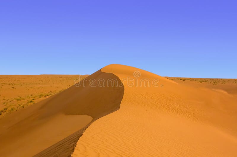 Sand Dune in the Thar Desert Stock Image - Image of india, brown: 202607289
