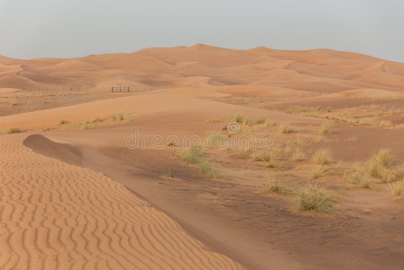 Sand Dune with Wind Trace Texture at Dubai Stock Image - Image of ...