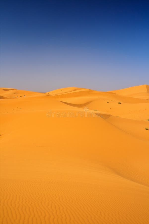 Desert Panorama - Sand Dunes - Sahara, Libya Stock Image - Image of ...
