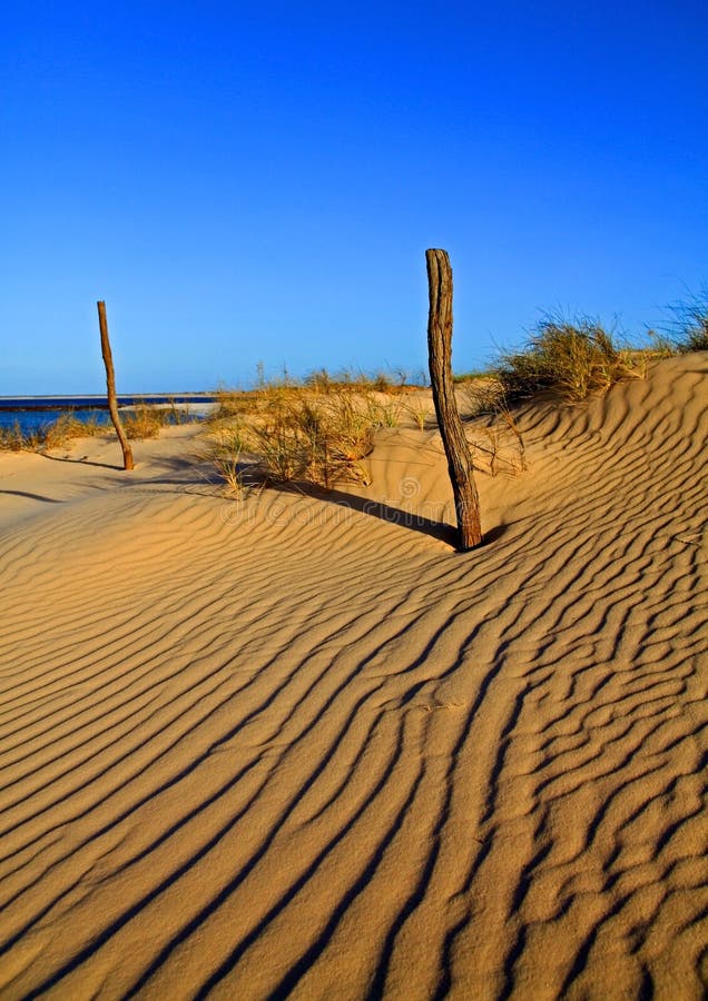 Dunes stock image. Image of abstract, texture, lithuania - 321203