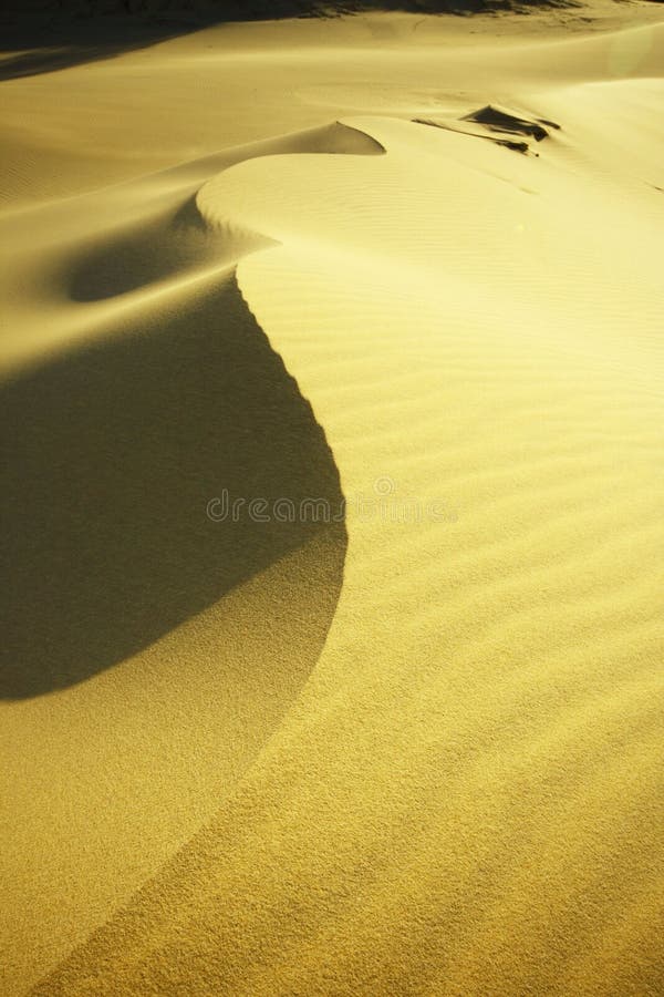 Sand dunes stock photo. Image of natural, empty, sand - 14404426