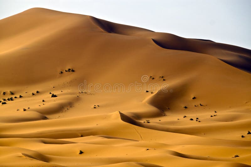 Desert Panorama - Sand Dunes - Sahara, Libya Stock Image - Image of ...