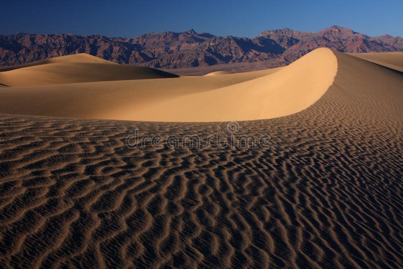 Sand dunes stock image. Image of ecosystem, distant, dunes - 16356827