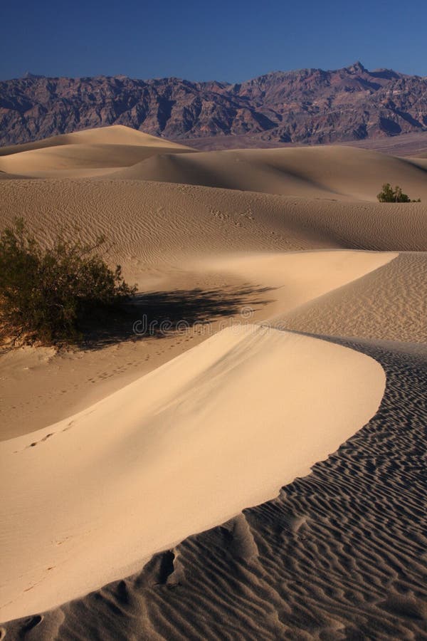 Sand dunes stock image. Image of ecosystem, distant, dunes - 16356827