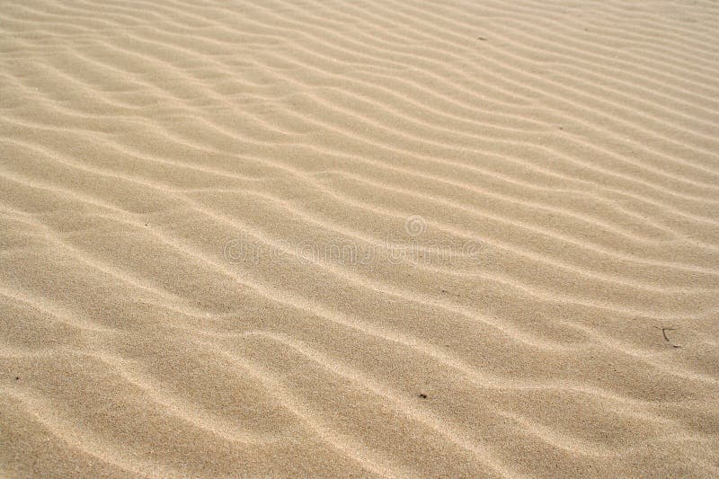 Sand dunes 2 stock photo. Image of desert, beach, sand - 4462796