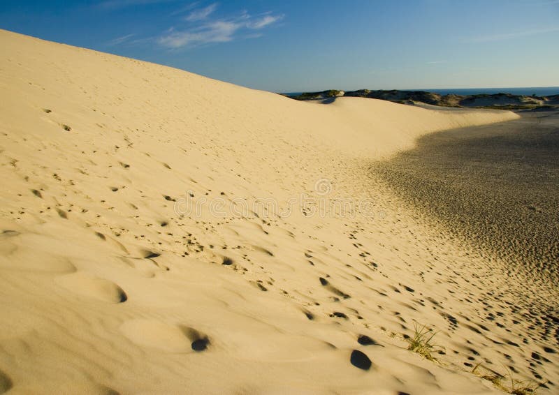 Sand Dunes stock image. Image of biosphere, baltic, gritty - 2110827