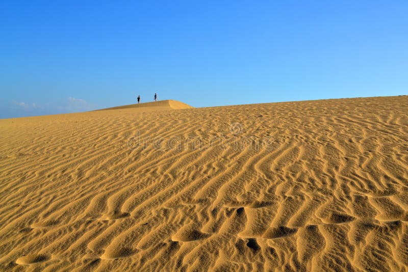 Sand dunes stock photo. Image of picturesque, country - 23760788