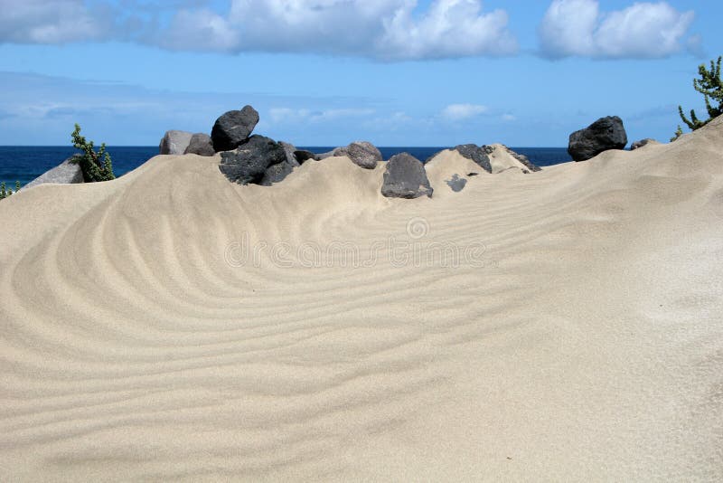 Sand Dunes Picture. Image: 9621438
