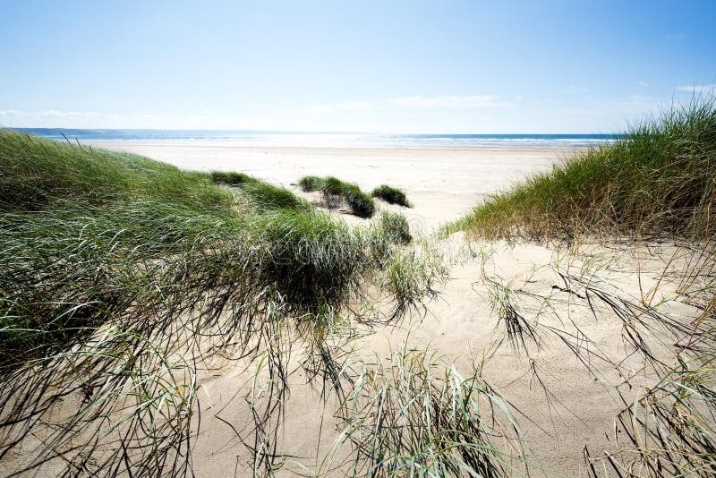 Sand Dunes Along the Shoreline Stock Photo - Image of ocean, england ...