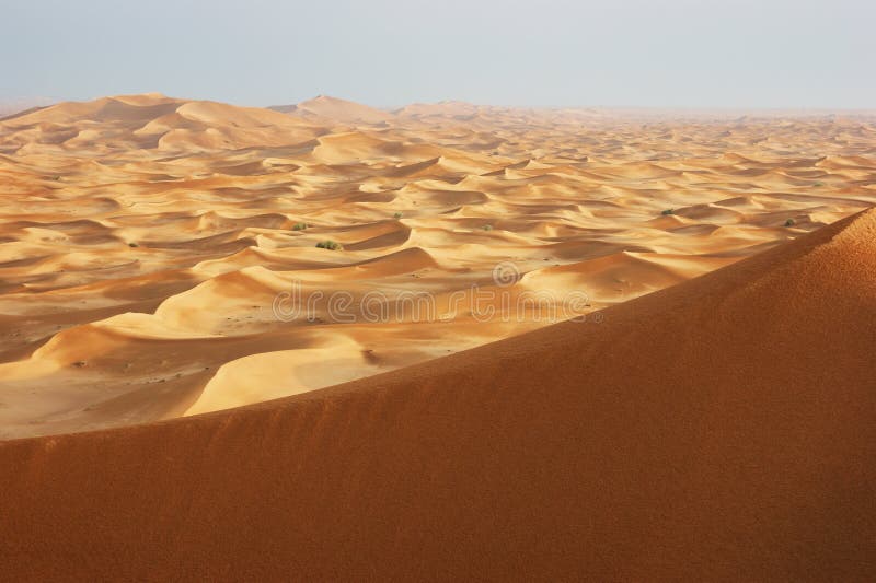 Sand Dunes of the Arabian Desert Stock Photo - Image of sahara, africa ...