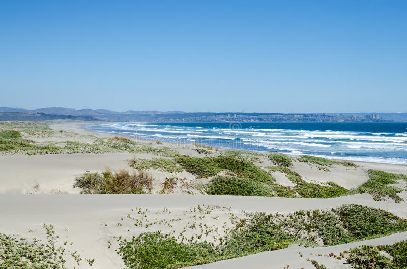 Sand dunes at the beach stock image. Image of dunes - 118354861