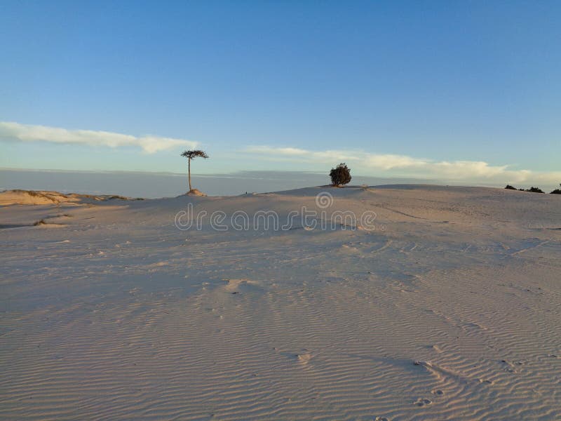 Sand Dunes on the Beach of the City of Jose Ignacio, Uruguay Stock ...