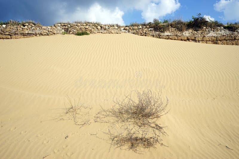 Sand dunes stock image. Image of israel, yellow, dune - 49011551