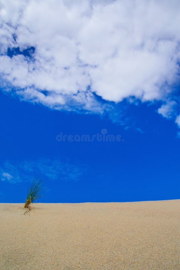 Sand Dunes on a Blue Sky Background. Vertical Stock Photo - Image of ...