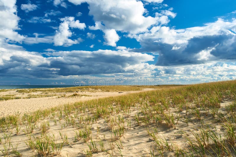 Sand dunes at Cape Cod stock image. Image of cape, landscape - 76408999