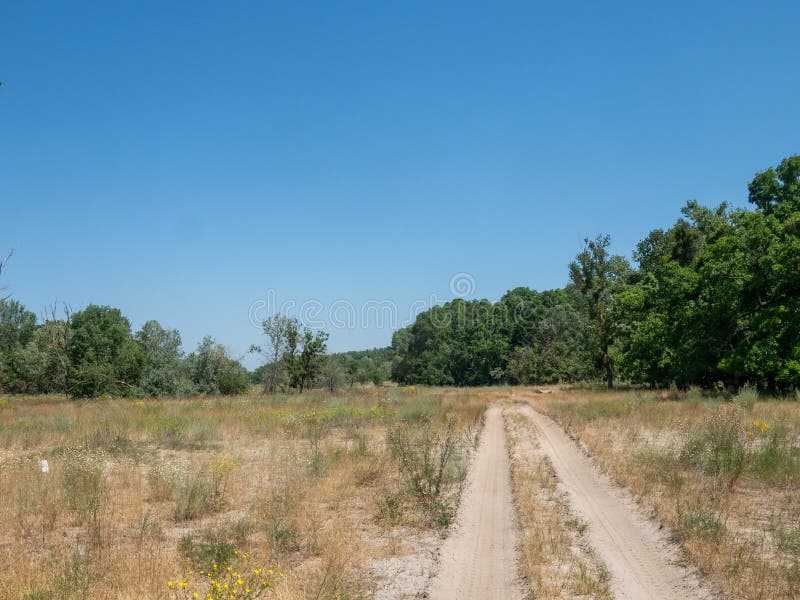Caraorman Dunes Stock Photos - Free & Royalty-Free Stock Photos from ...