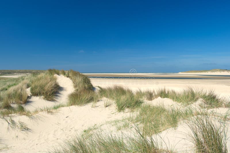 Sand dunes at the coast stock photo. Image of brackish - 38997398