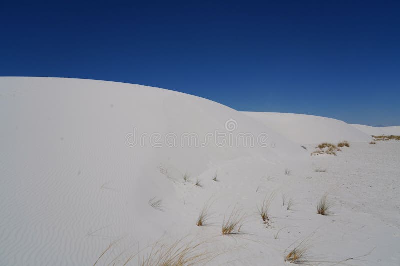 The Sand Dunes in the Desert are All White and Empty Stock Photo ...