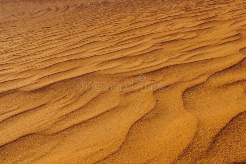 Sand Dunes of the Desert Close Up. Dubai 2019. Stock Photo - Image of ...