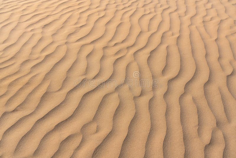 Desert Patterns with Animal Tracks on the Dunes Stock Image - Image of ...