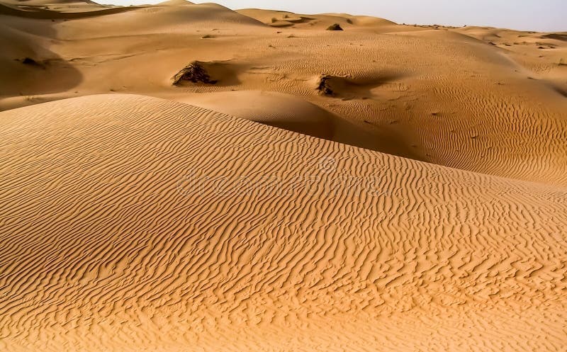 Sand Dunes in the Sahara Desert Stock Photo - Image of egypt, ripples ...