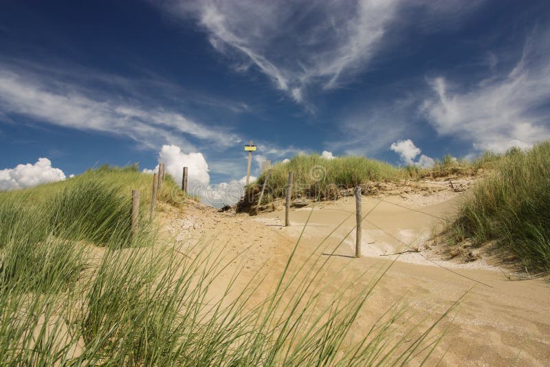 Sand Dunes at the Dutch Coast Stock Image - Image of path, beach: 34881269