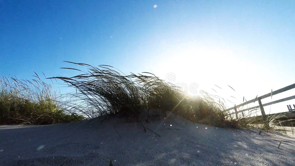 Sand dunes stock photo. Image of beautiful, summer, dunes - 260357232