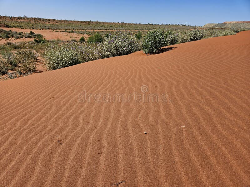 Sand Dunes in the Gibson Desert Outback Western Australia Stock Photo ...
