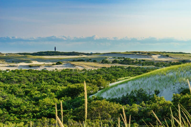 Sand Dunes and Grass of the Provincelands Cape Cod MA US. Stock Photo ...