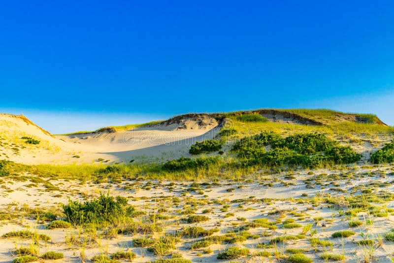 Sand Dunes and Grass of the Provincelands Cape Cod MA US. Stock Photo ...