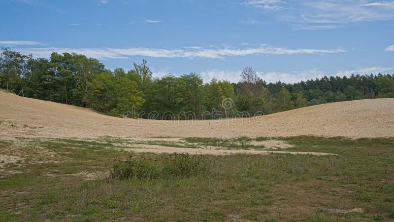 Sand Dunes in Grunewald Forest Near Belin Stock Photo - Image of meadow ...