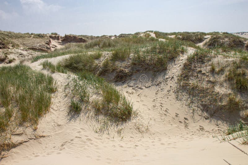 Sand Dunes of Island Romo, Western Denmark Stock Image - Image of ...