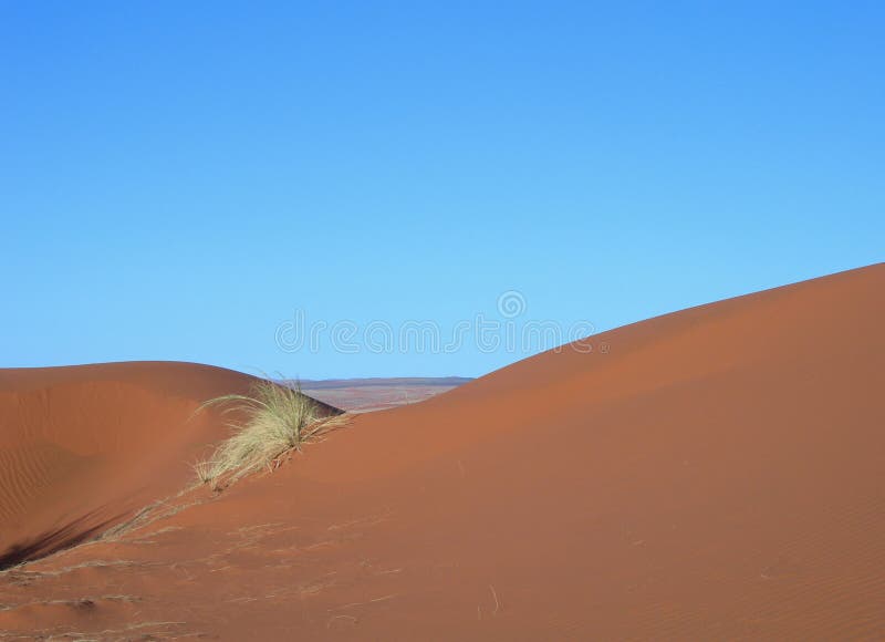 Sand Dunes in the Kalahari Desert Stock Photo - Image of outdoor, land ...