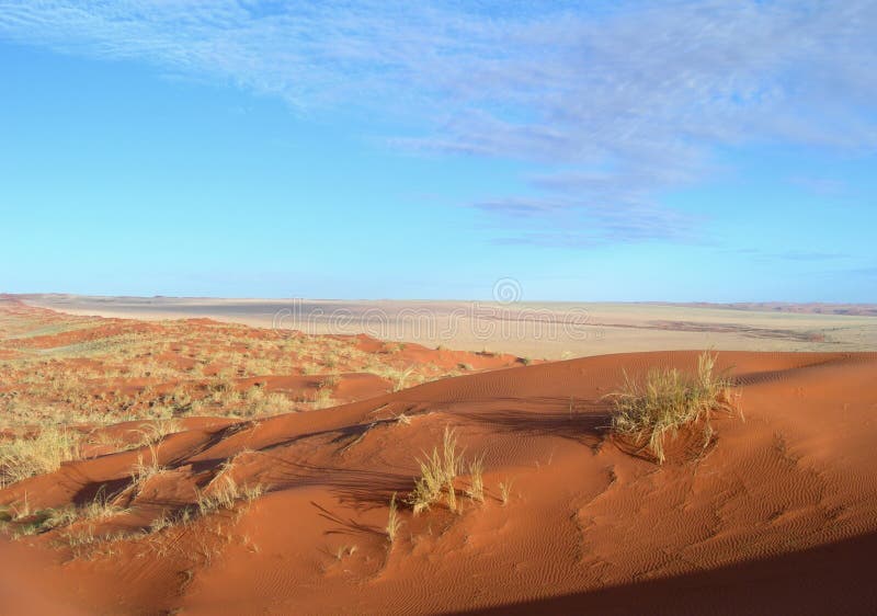 Sand Dunes in the Kalahari Desert Stock Photo - Image of outdoor, land ...
