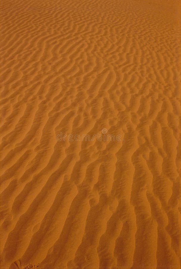 Indian Thar Desert Sand Dunes Khudi Rajasthan India Stock Image - Image ...
